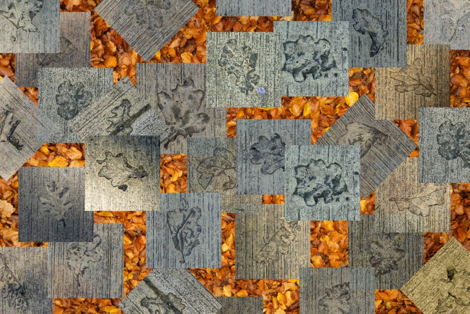 Overall compositie – Fotoclub | BeeldCollectief WestBrabant