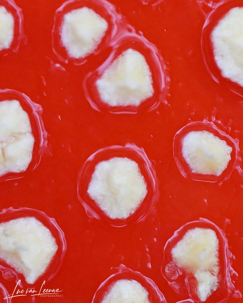 Overall compositie – Fotoclub | BeeldCollectief WestBrabant