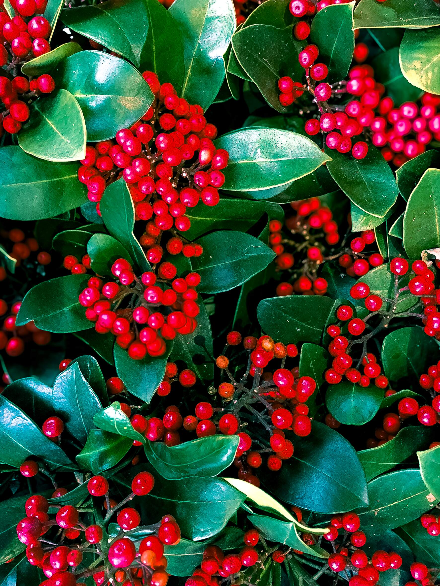 Overall compositie – Fotoclub | BeeldCollectief WestBrabant